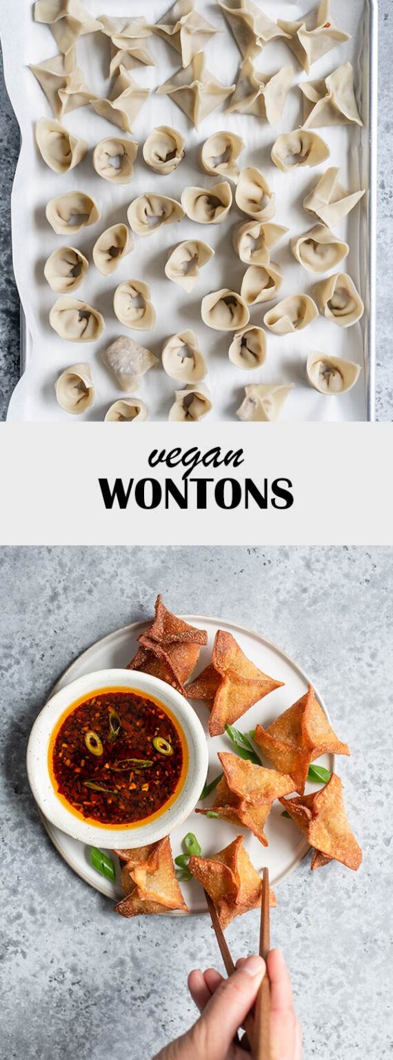 Homemade Vegan Wontons • The Curious Chickpea