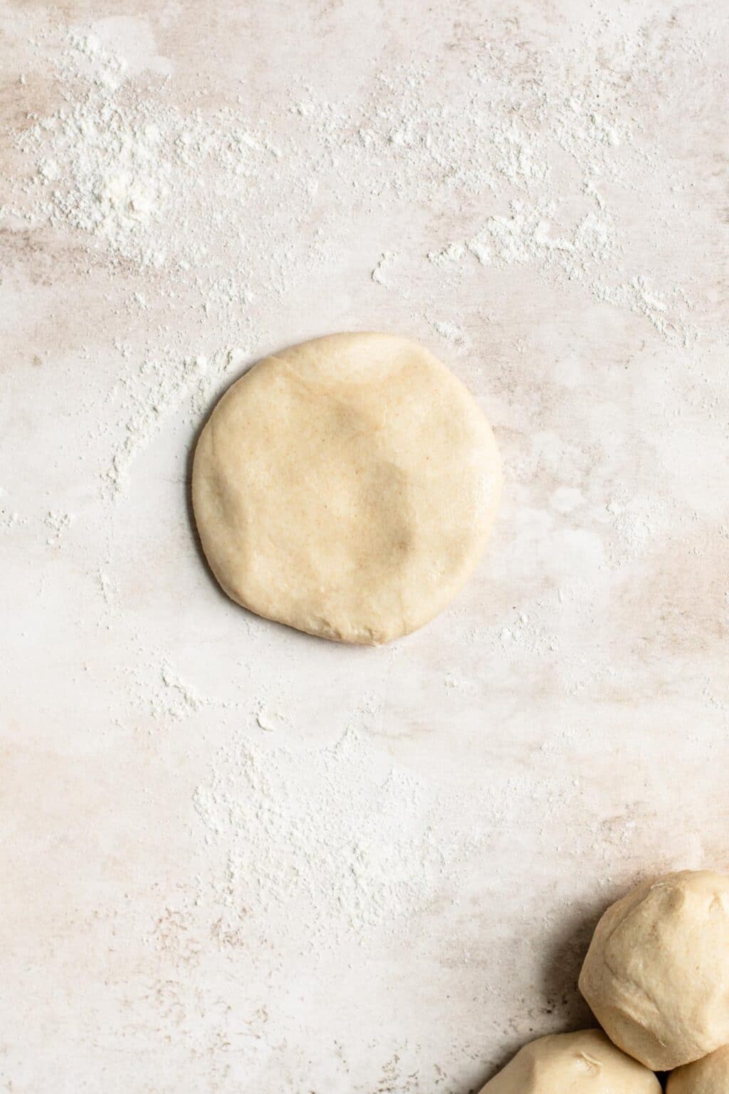 Homemade Roti • The Curious Chickpea